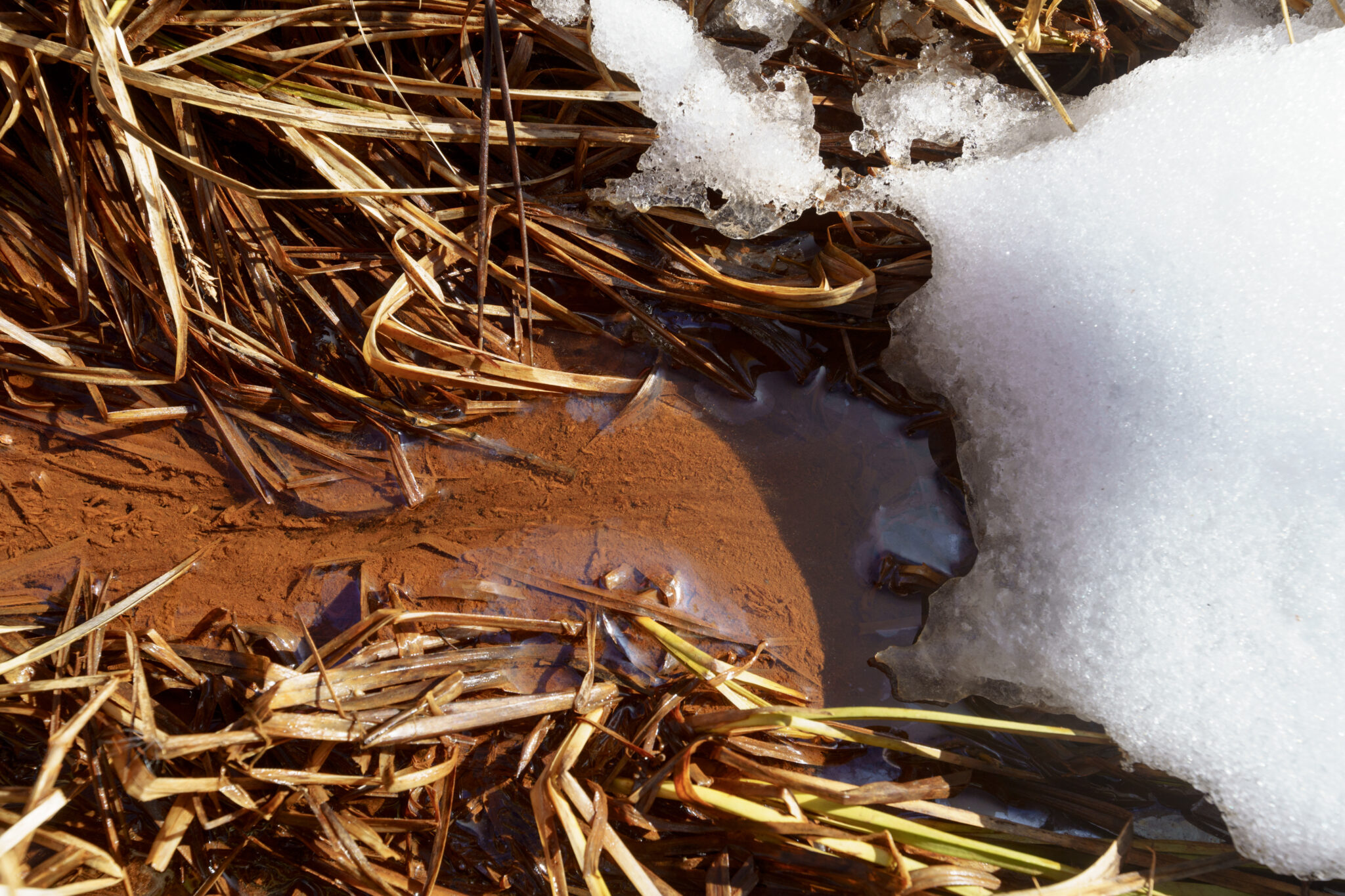 Can a mine near the Pecos river be stopped – New Mexico News Port